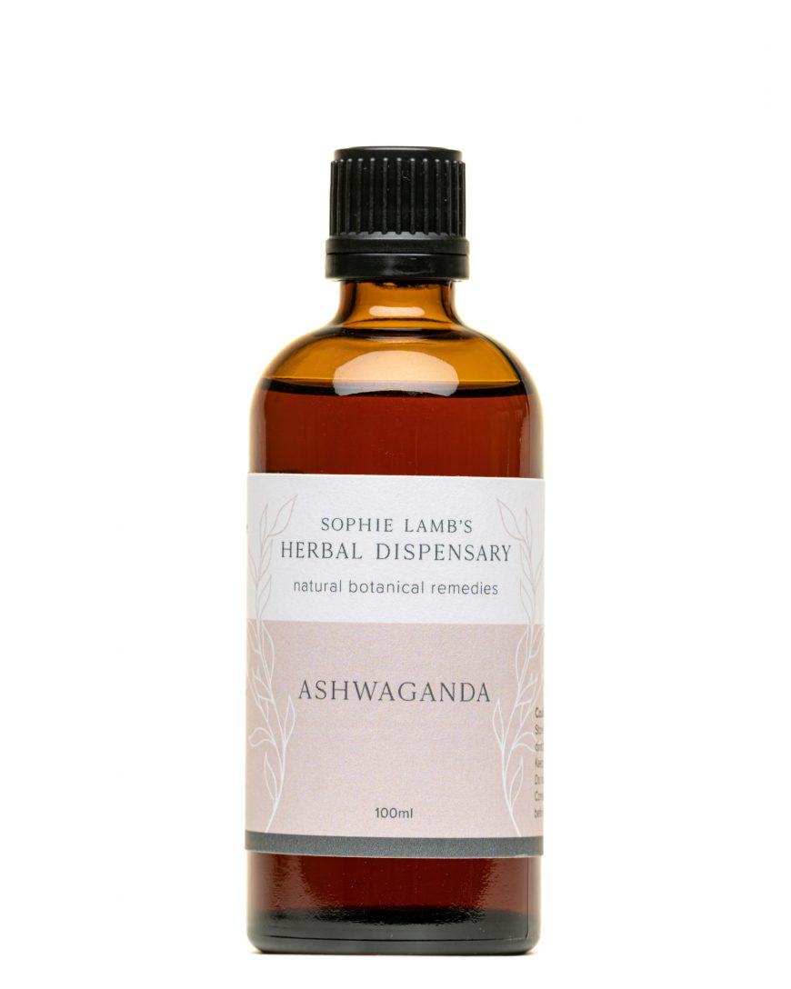 Ashwaganda 100ml – Sophie Lamb